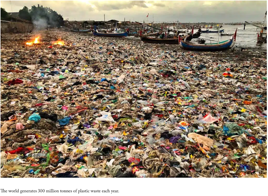A closer look at the biggest environmental problems of 2023 – Part 1 ...